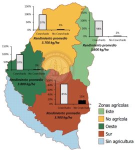 La producción de sorgo alcanzaría las 335.000 hectáreas en Entre Ríos ...
